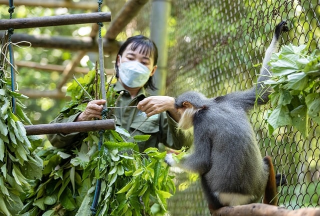 Le Parc national de Cuc Phuong / Que voir et faire au parc
